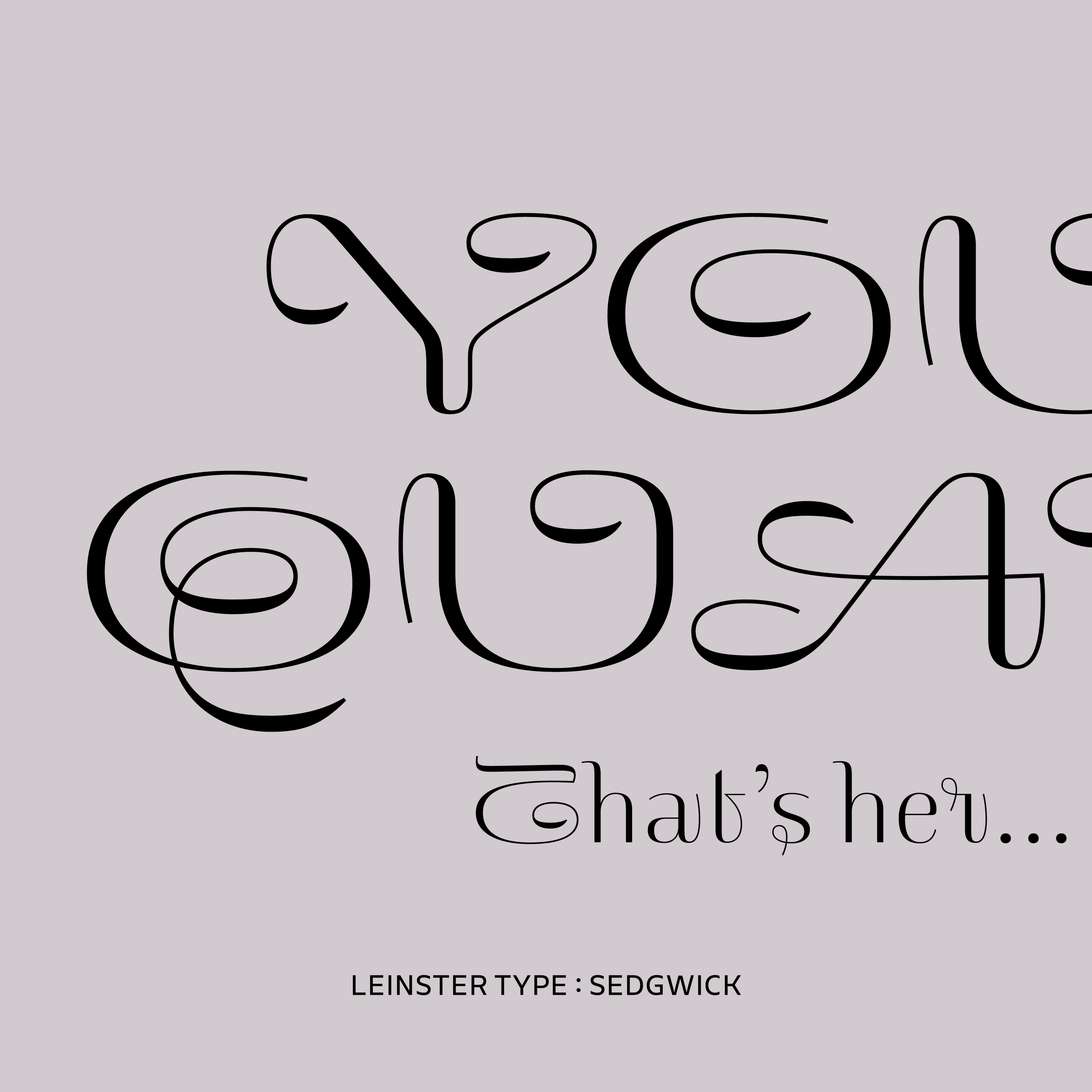 Fonts by Leinster Type