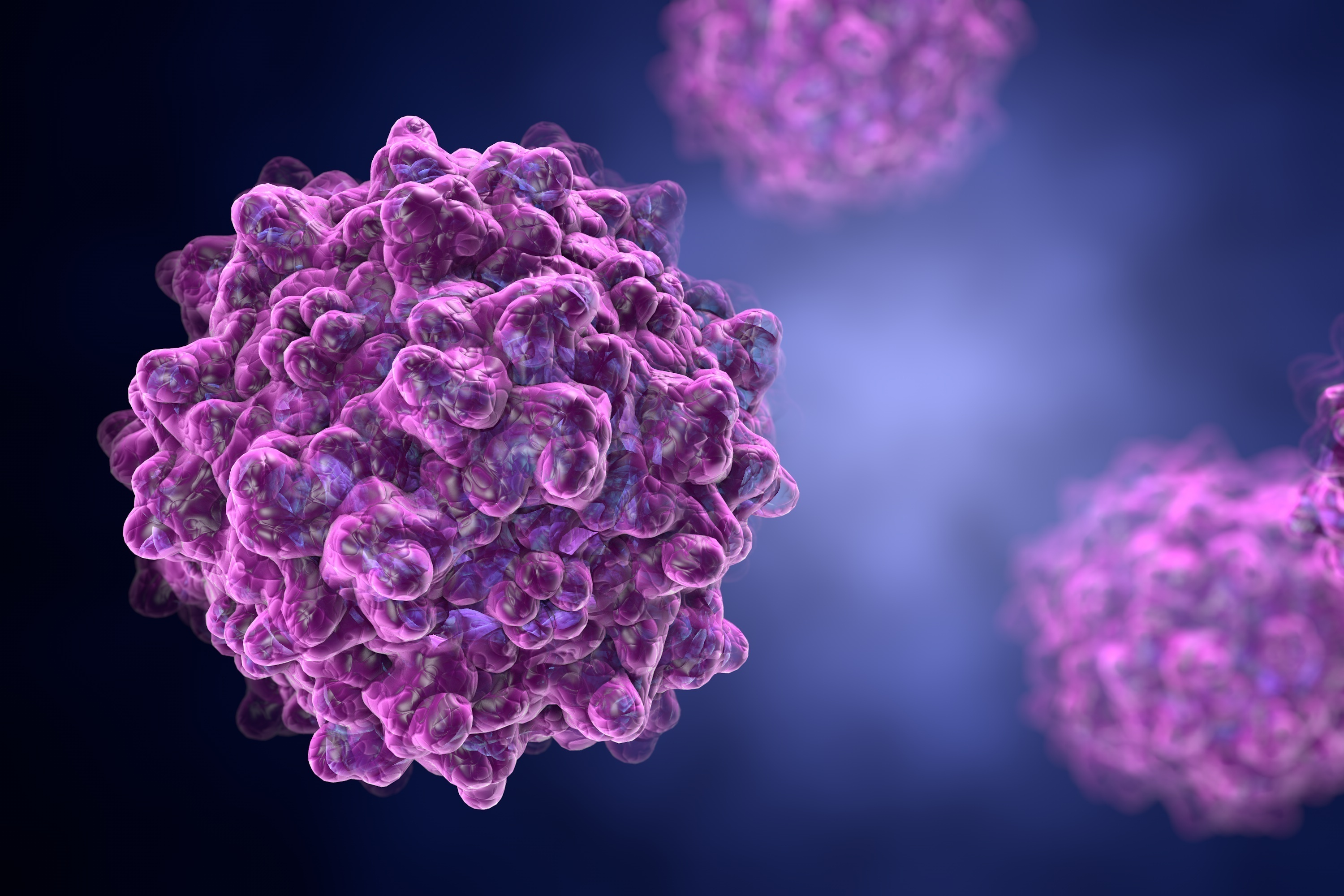 Quantifying AAV Empty Full Capsid Ratio Form Bio quantifying-aav-empty-full-capsid-ratio-form-bio