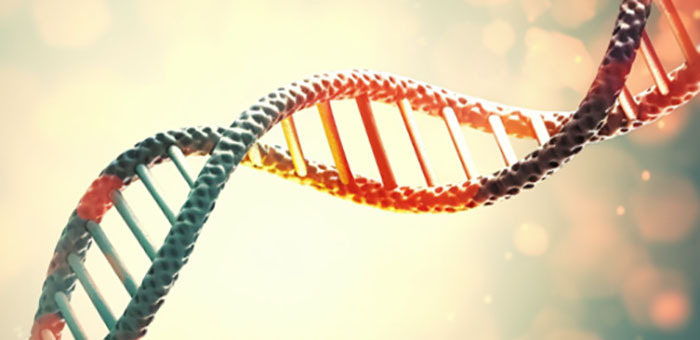 The Role of AI in Advancing Gene Therapy Techniques | Form Bio