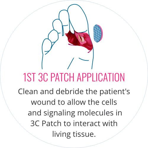 Home 3C Patch by Reapplix