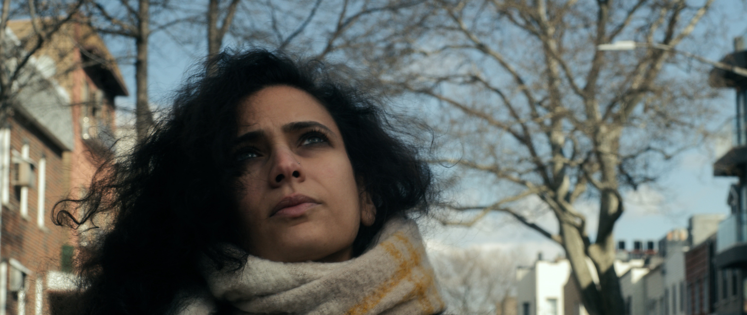 Tallahassee — MENA Film Festival