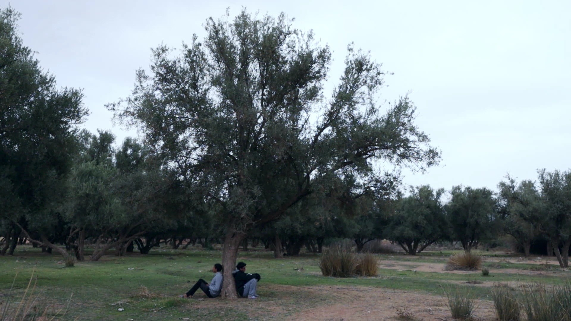 Ayyur / Moon — MENA Film Festival