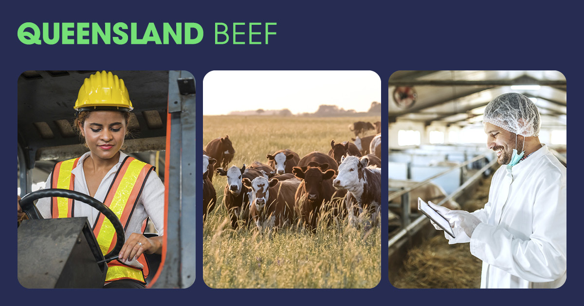 Queensland Beef