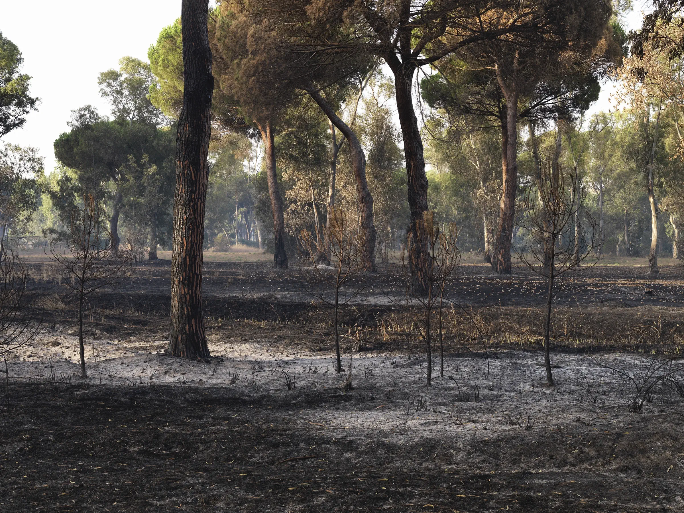 Over JOURNAL – David Farrell – David Farrell: Works