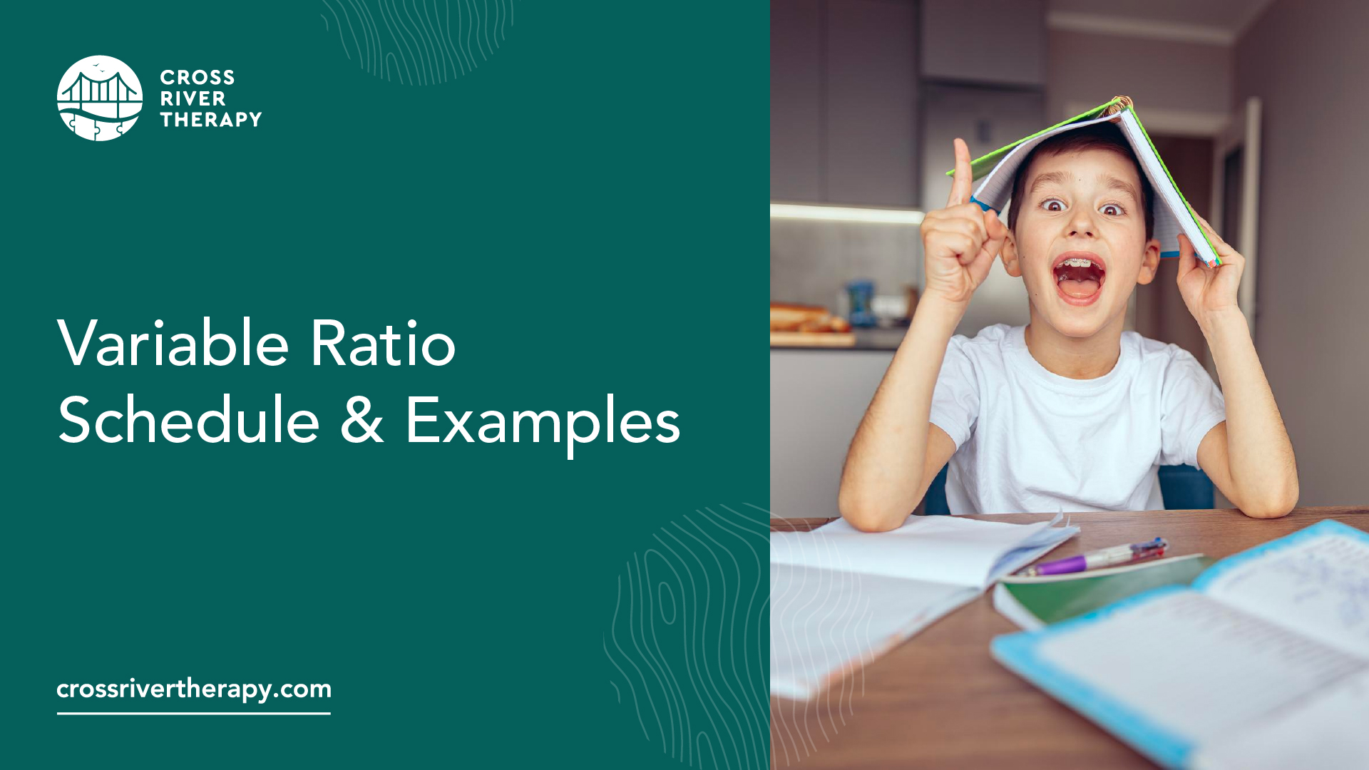 Variable Ratio Schedule & Examples
