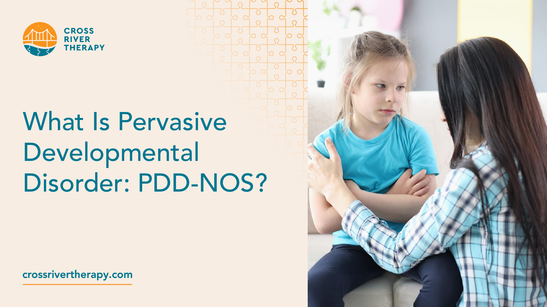 What Is A Ppd Converter at Helen Mcewen blog