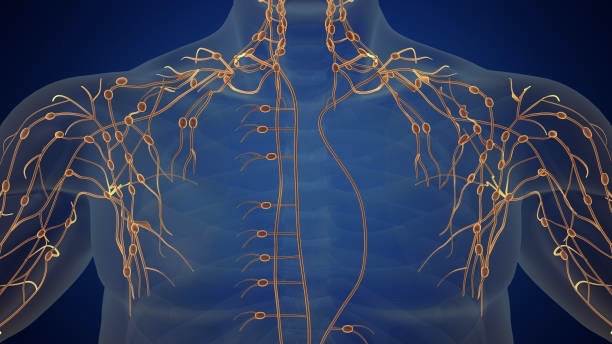 Lymphatic Fistula: Causes, Symptoms, Treatment Explained