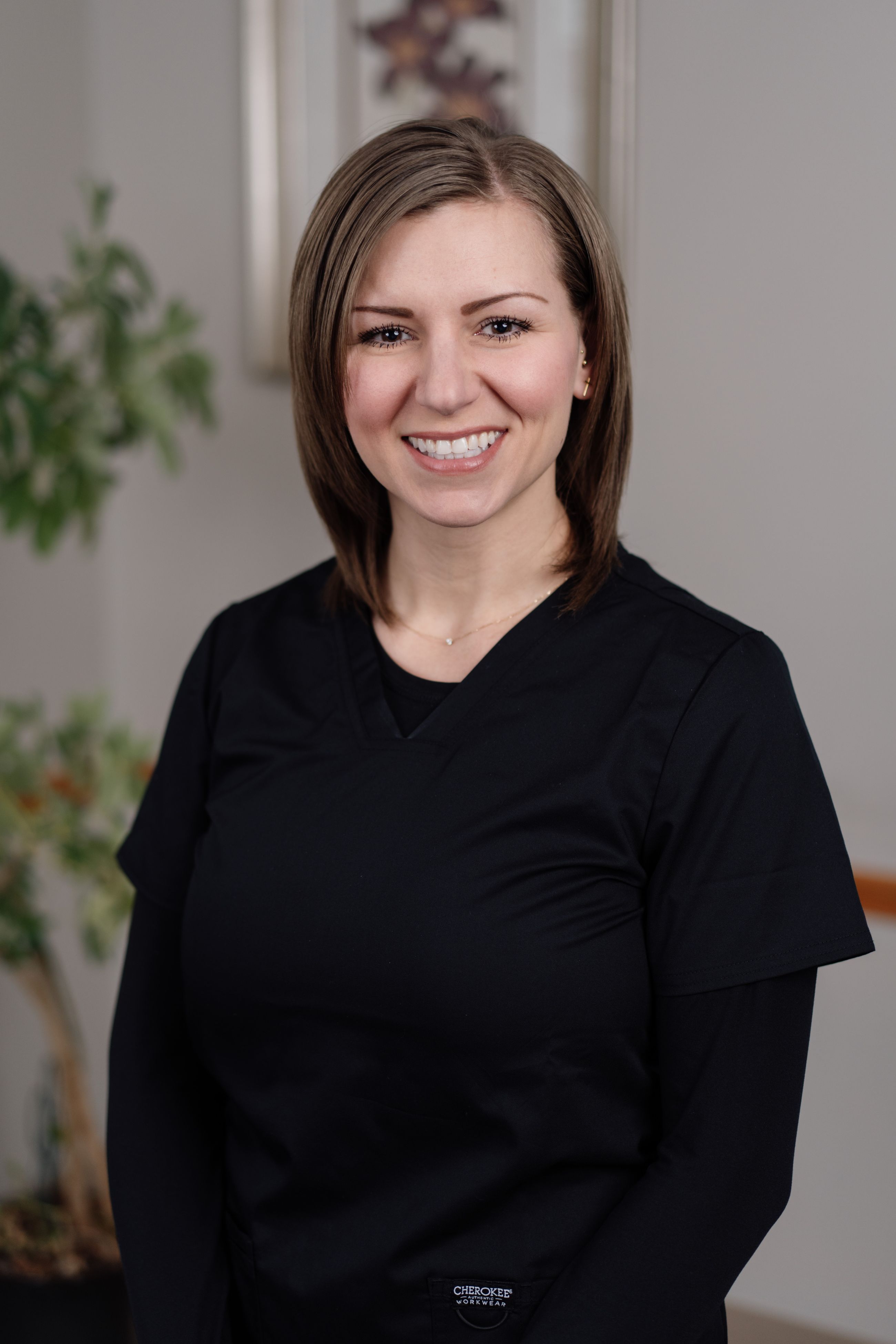 Meet the Team