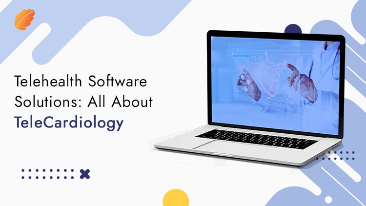Telehealth Software Solutions: All About TeleCardiology —Consagous