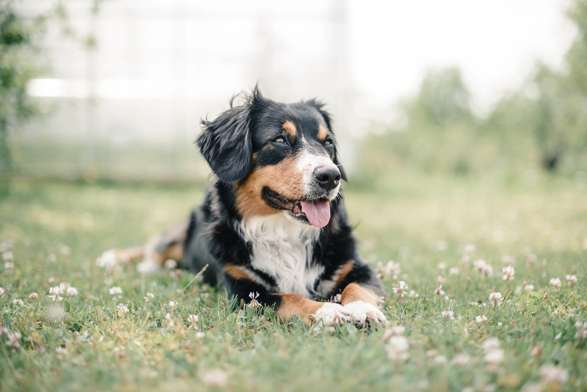 Mary Mount Hotel | Derwentwater, Borrowdale Keswick | Dog friendly ...