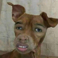 Funny Dog PFP 2 | Cool PFP