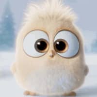 Animal PFP | Cool PFP