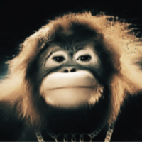 Monkey PFP 20 | Cool PFP