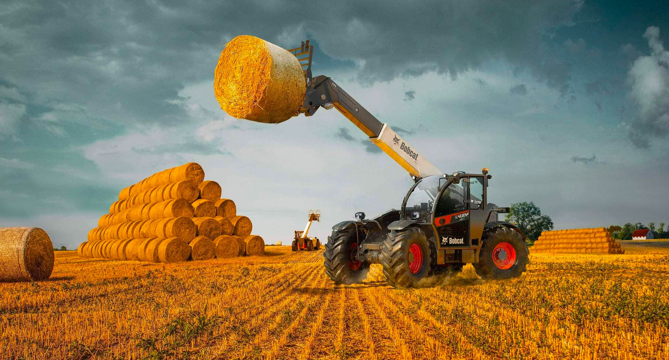 3D rendery pro Bobcat