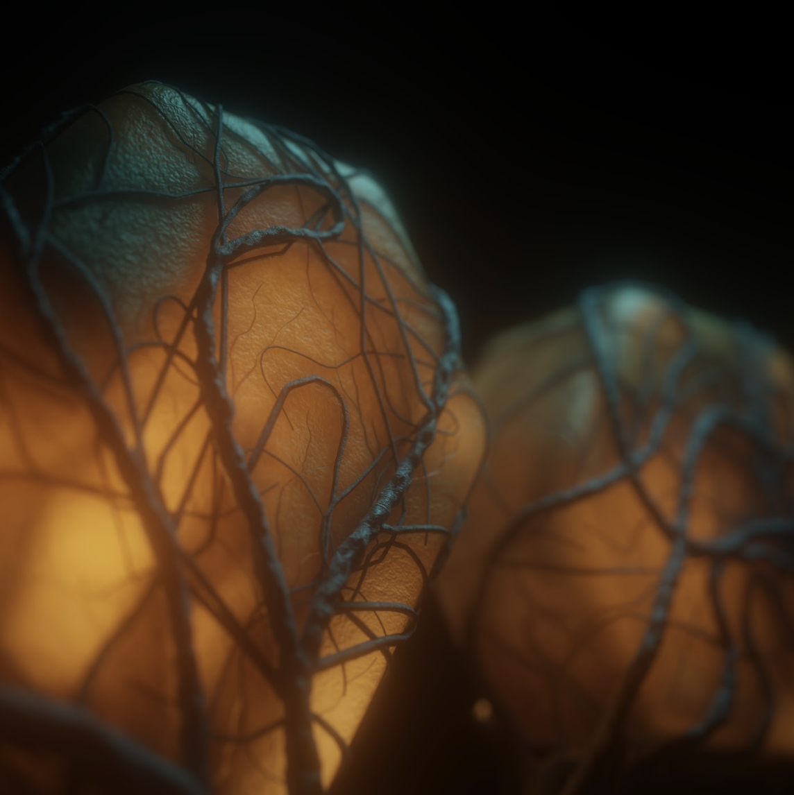 NFT Paris Conference | February 23-24, 2024