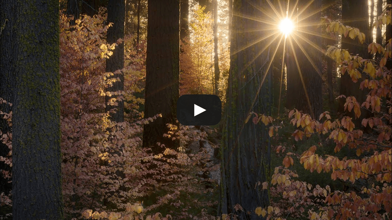 How To Create A Sunstar In Your Photos