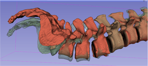 Proprio – Technology