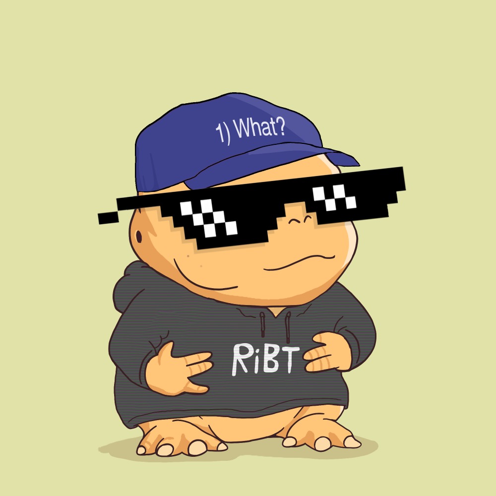 RiBT | Holoframe Showroom