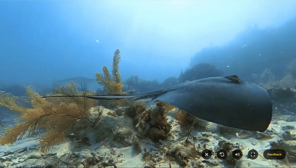 How Bentley University uses interactive 360° VR to immerse learners in field experiences - Warp VR