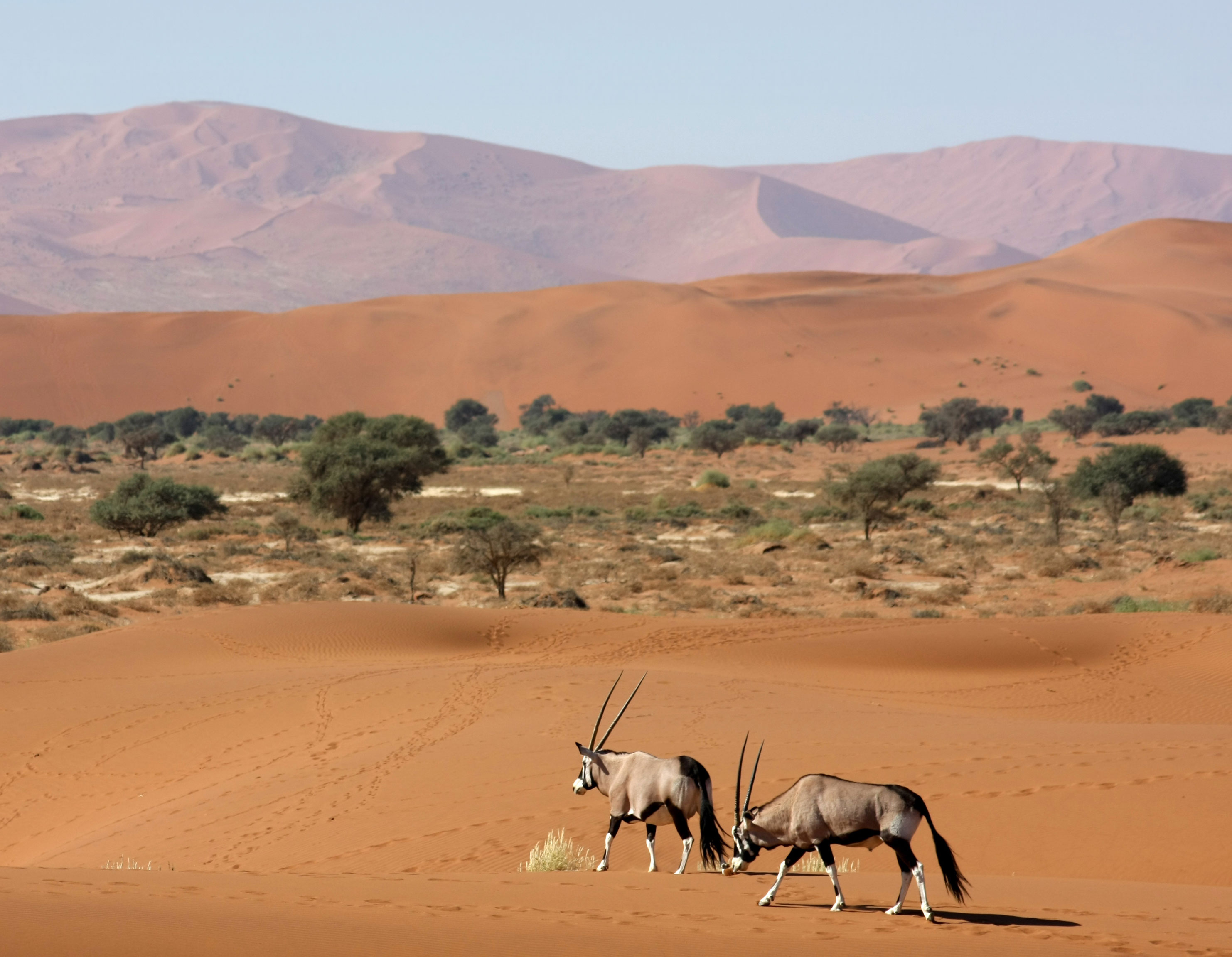 Namibia: Unlocking Namibia's Potential