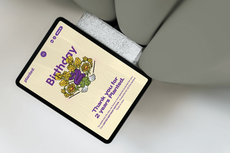 Projects ( Overthought Studio )