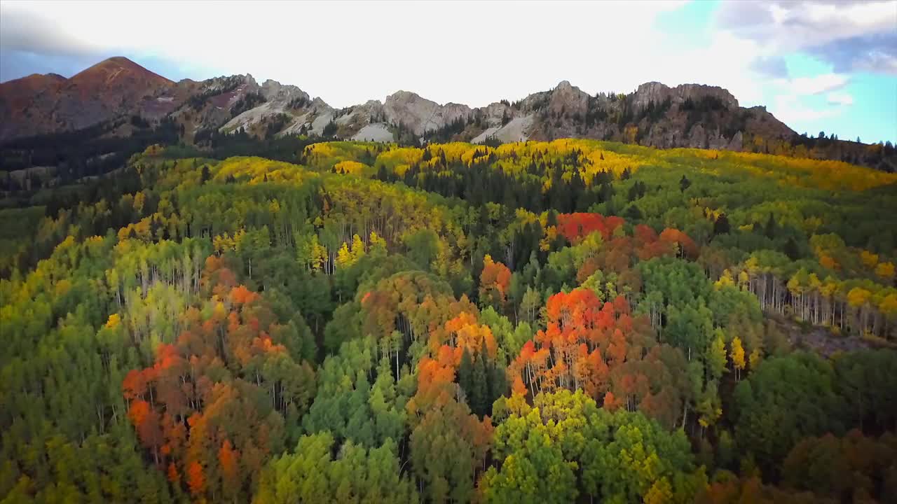 Technology & Business Management Consultants | Trility