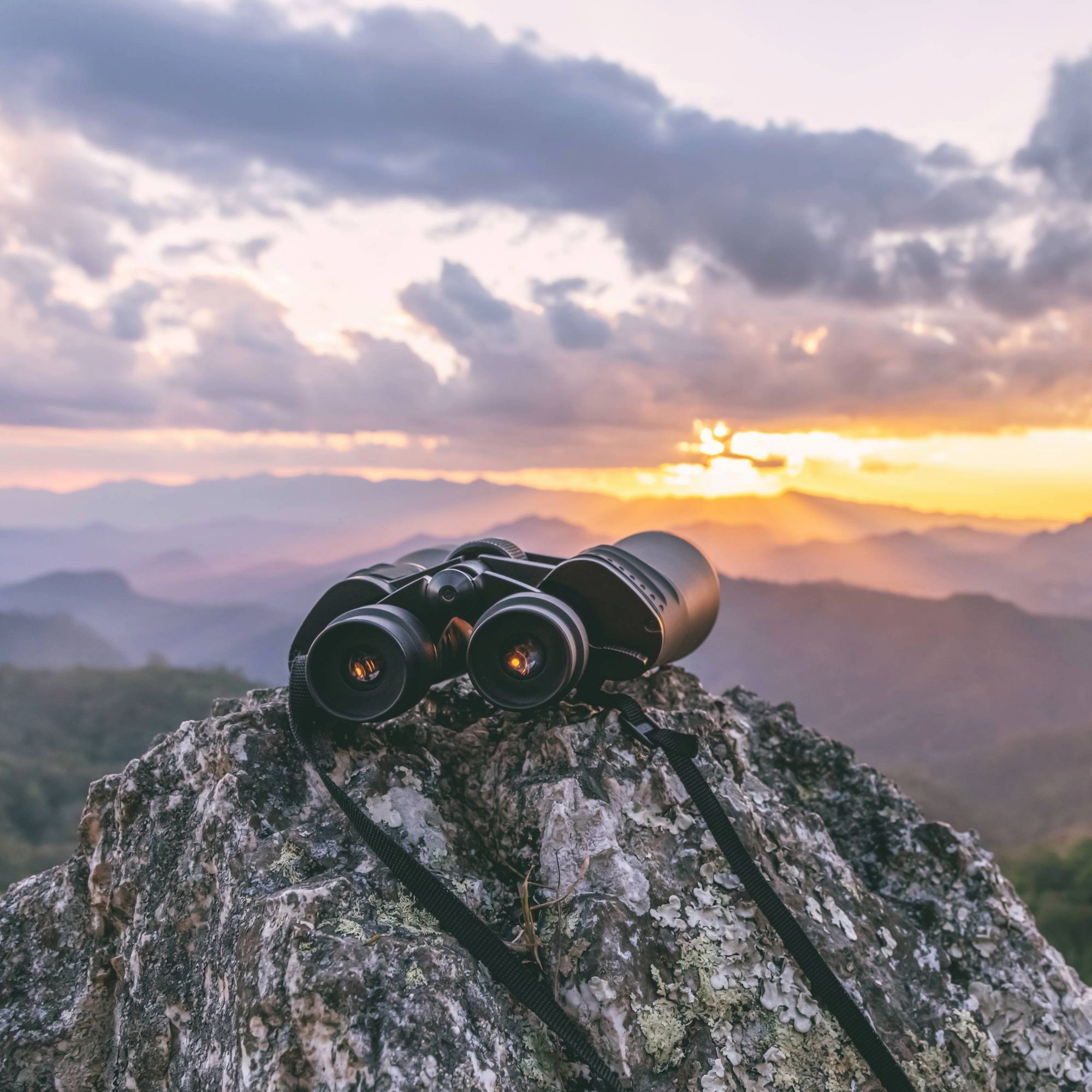 Artificial Intelligence & Data