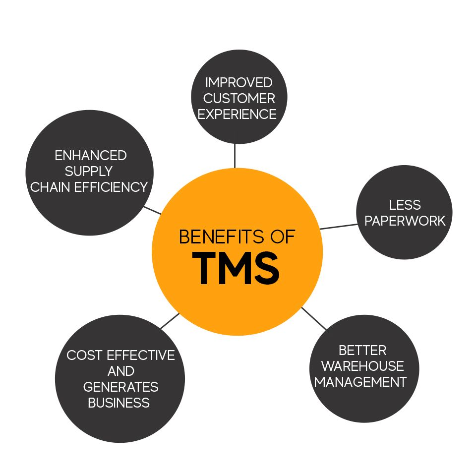 Understanding the Benefits of a Transportation Management System (TMS)