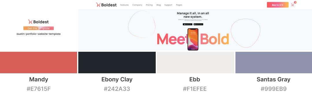 Best color combination ideas for web design