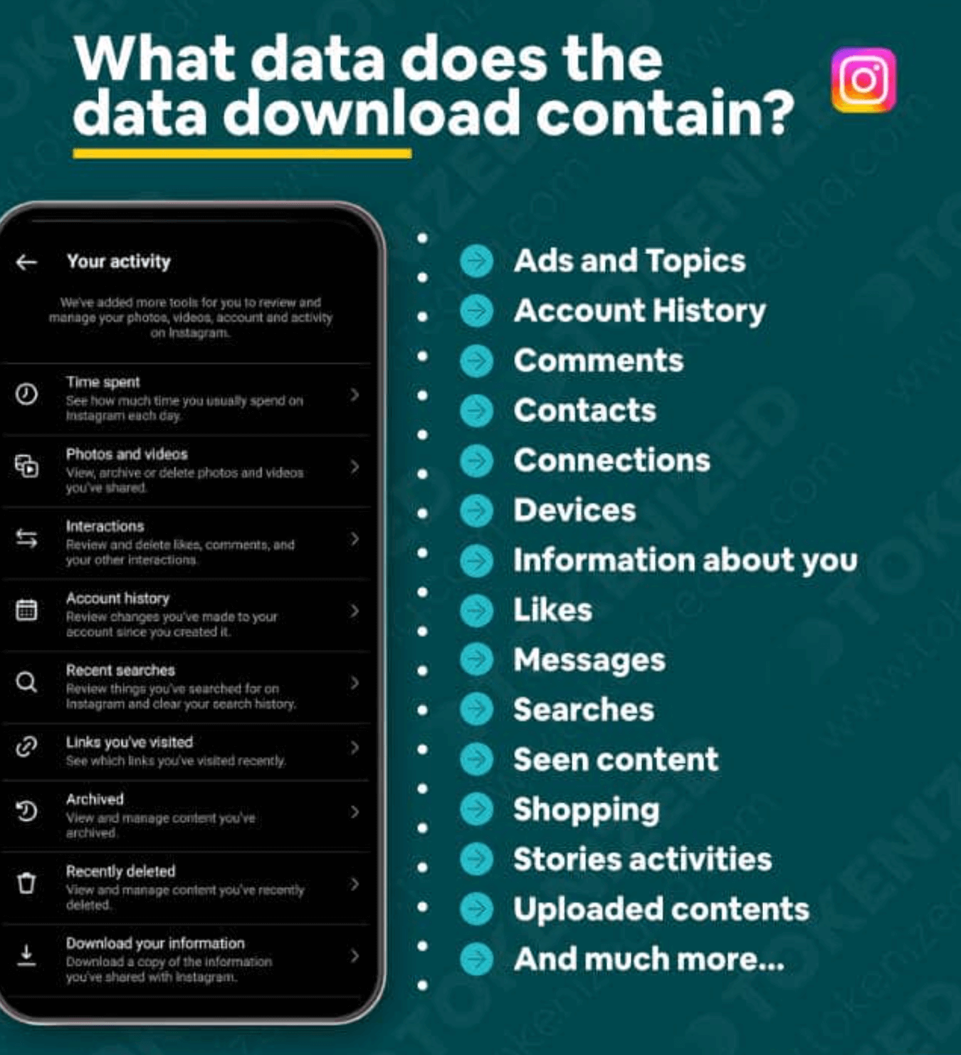 How to Download Your Instagram Data