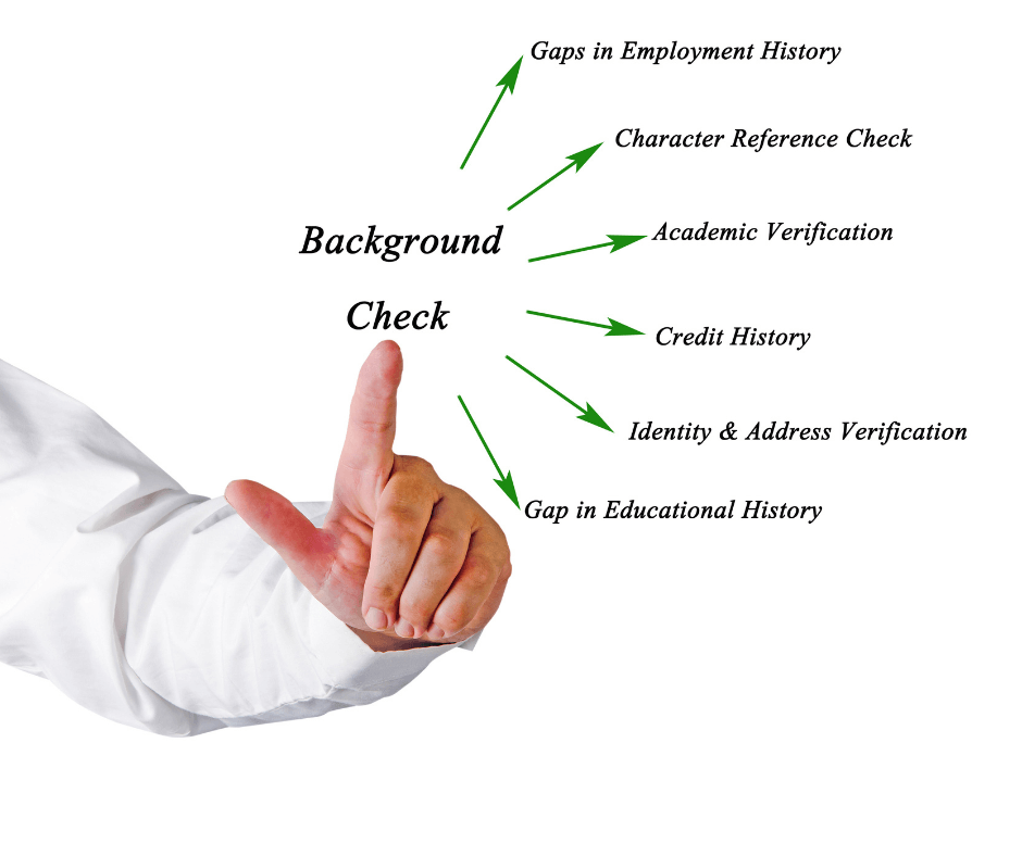 Free Work History Report Insights and Tips
