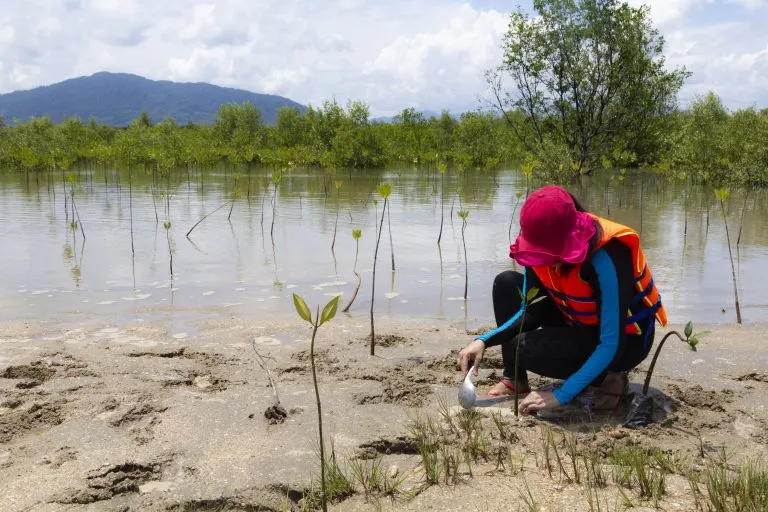 Despite Backlash Against Carbon Offsets, Companies Fund Their Own Projects