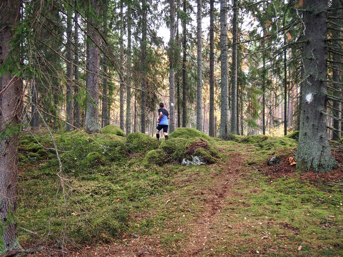 Högbo Trail Arena | Trailrunning och vandring