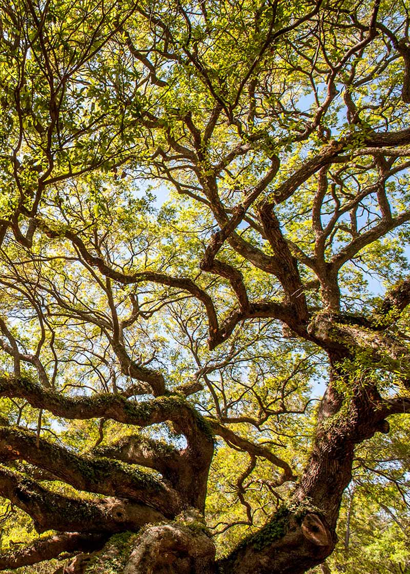 Harbor Health | Co-creating Health | Austin, TX Clinics