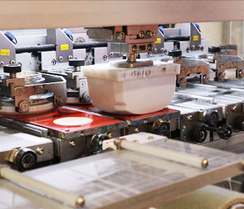 Paramount Safety - Case Study