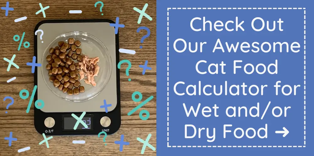 Cat Water Intake Calculator | How Much Should a Cat Drink?