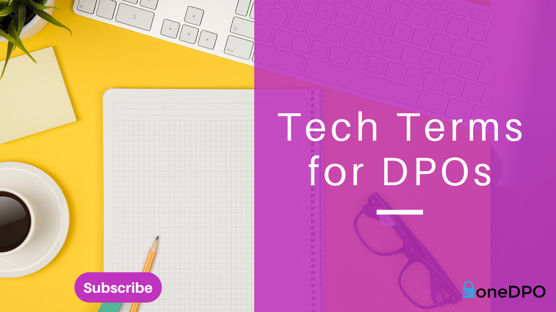 IT Terminology That DPOs Must Know | Protecto