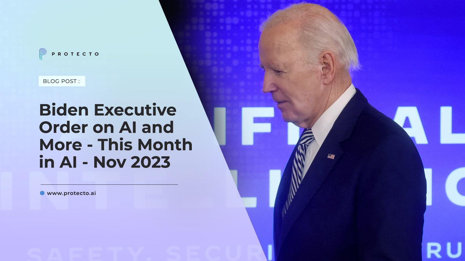 Biden Executive Order on AI and More - This Month in AI