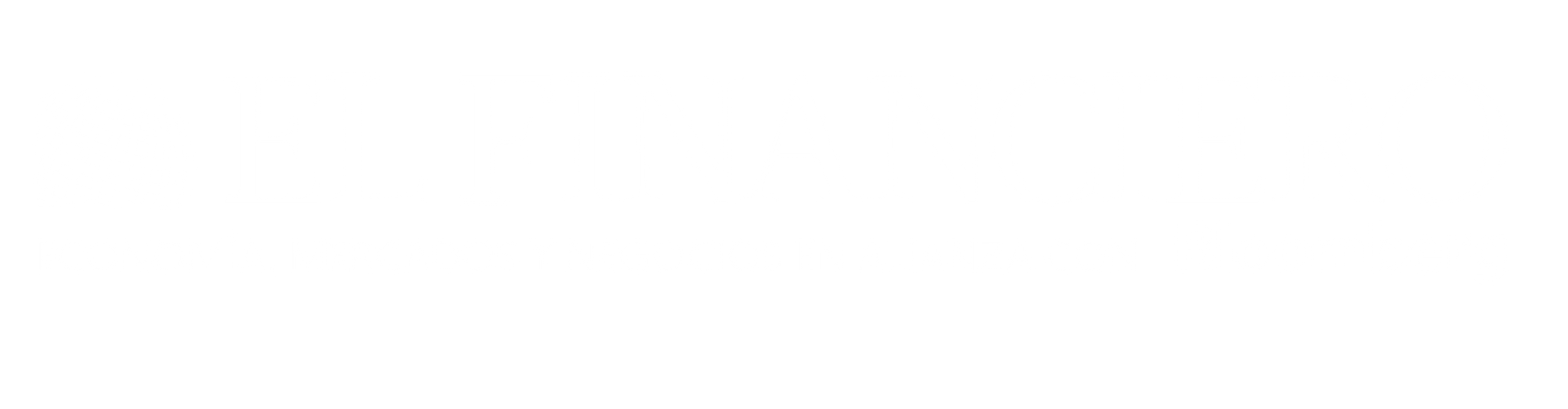 Spider | Inversiones seguras en Estados Unidos