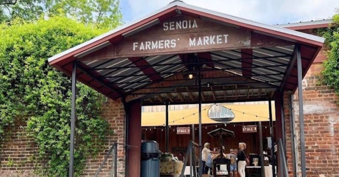 Enjoy Senoia | Senoia DDA | Senoia Downtown Development Authority