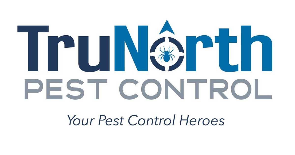 Senoia Alive After Five | Senoia Downtown Development Authority