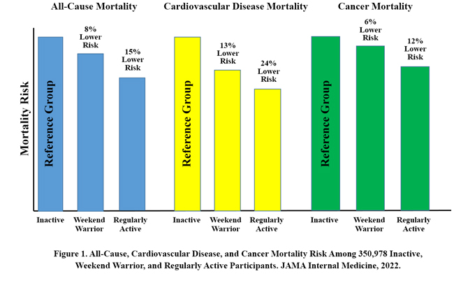 Does Being a “Weekend Warrior” Exerciser Help to Reduce Mortality Risk ...