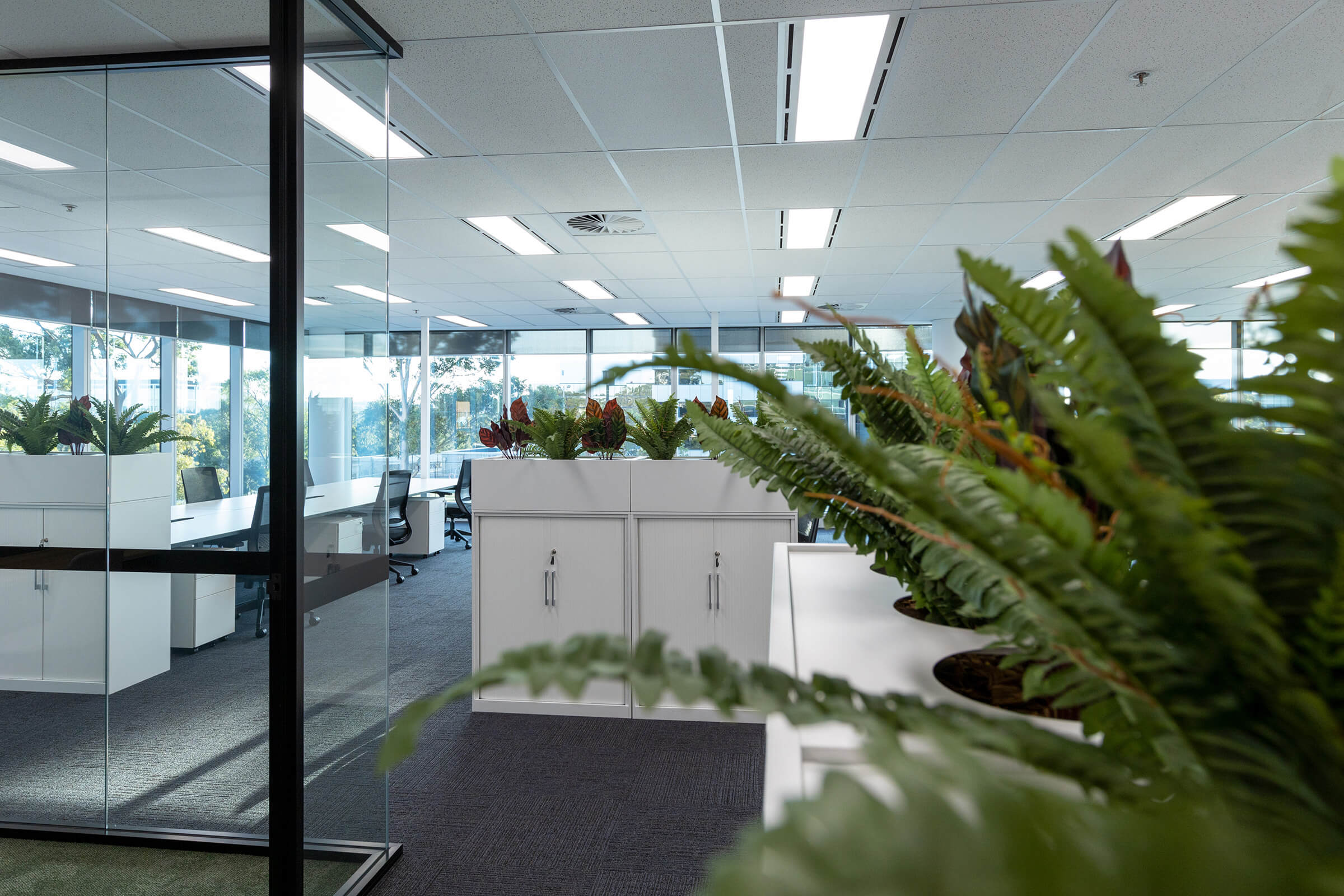 JXB Projects | SUITE 1.01A, 67 EPPING RD, MACQUARIE PARK