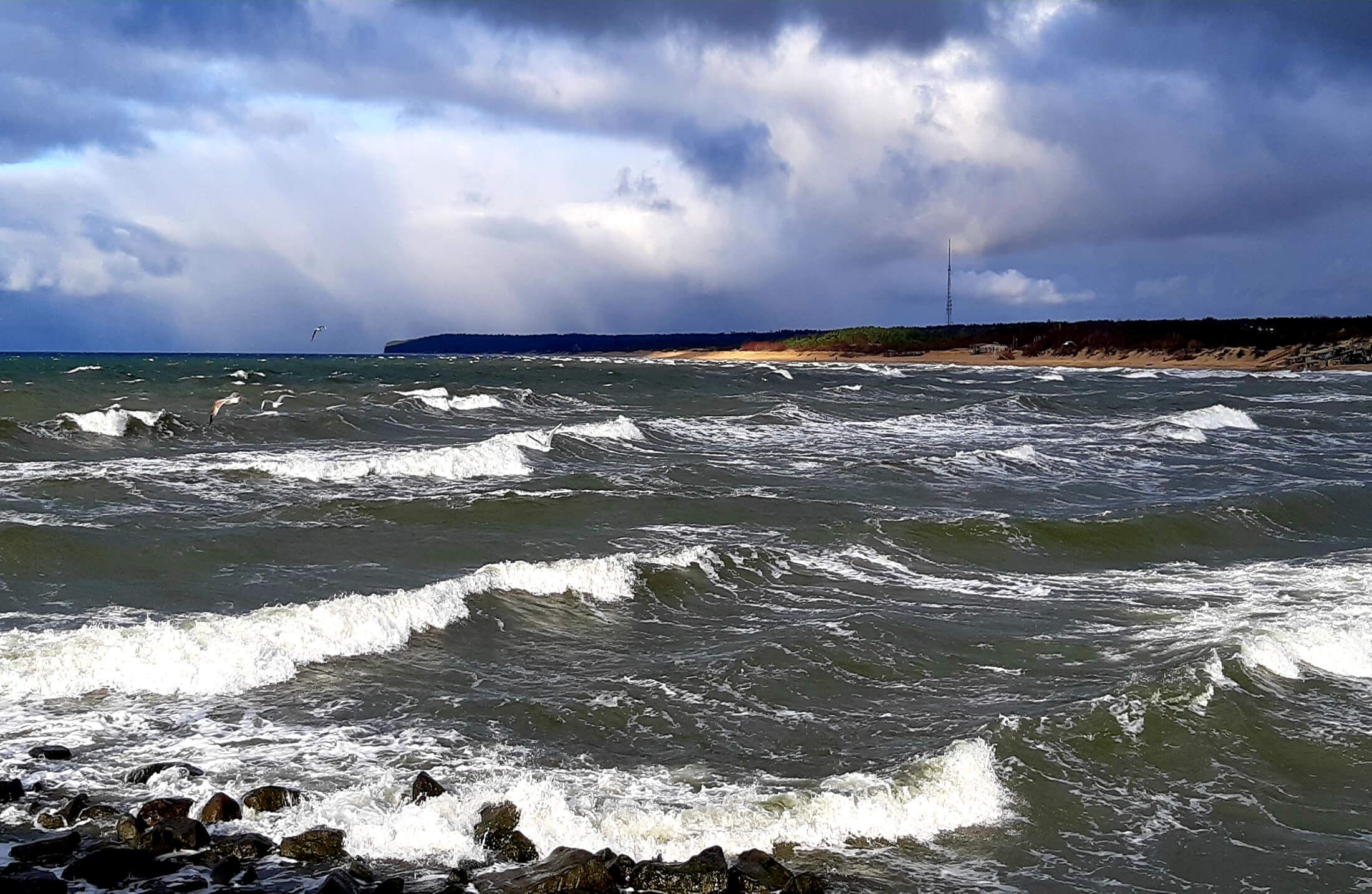 Žalioji banga Baltijos jūroje | Gargždapilis