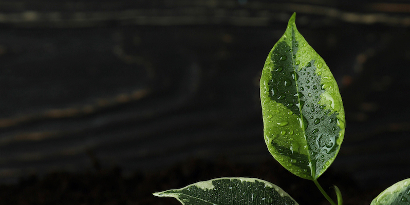 Programs at Tenity - Pre-Seed Incubator & Accelerator for Fintech ...