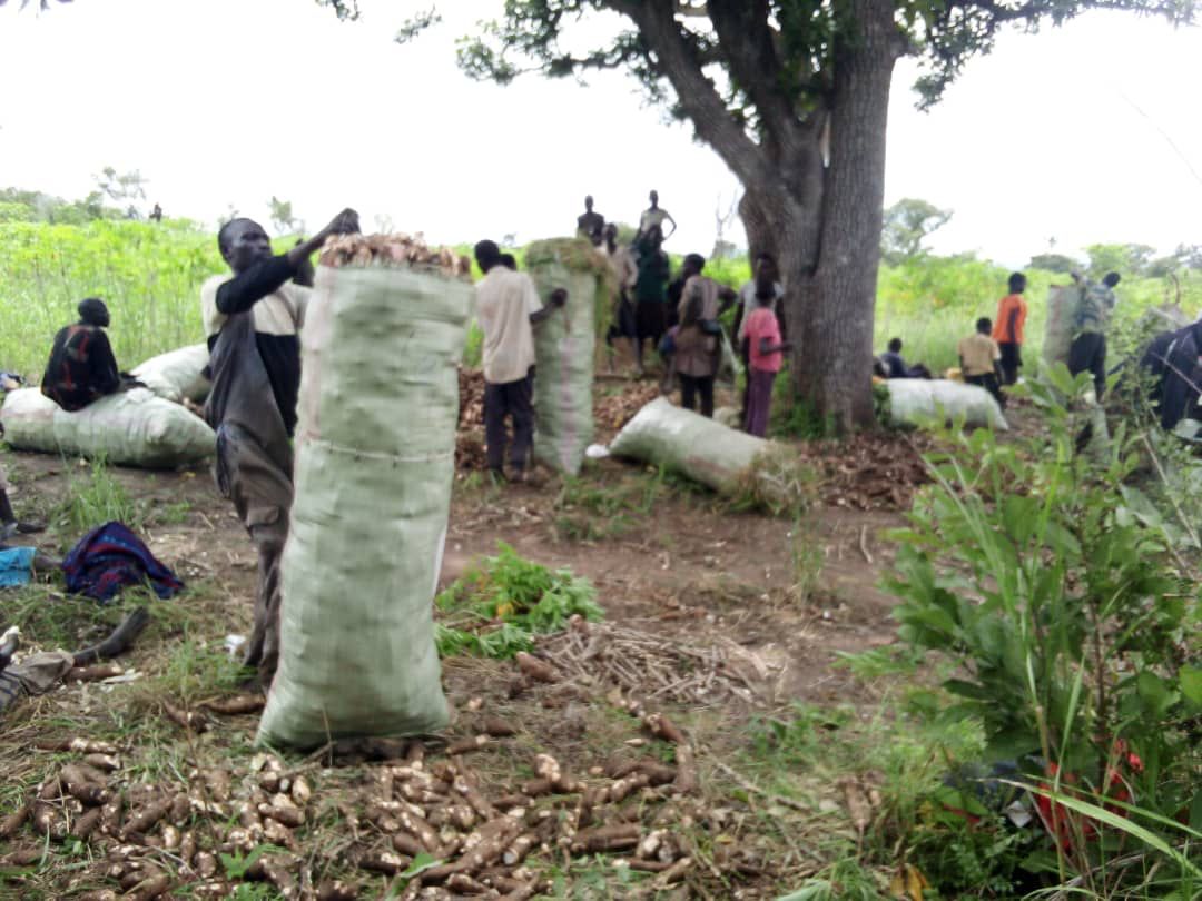 Celebrating The Harvest