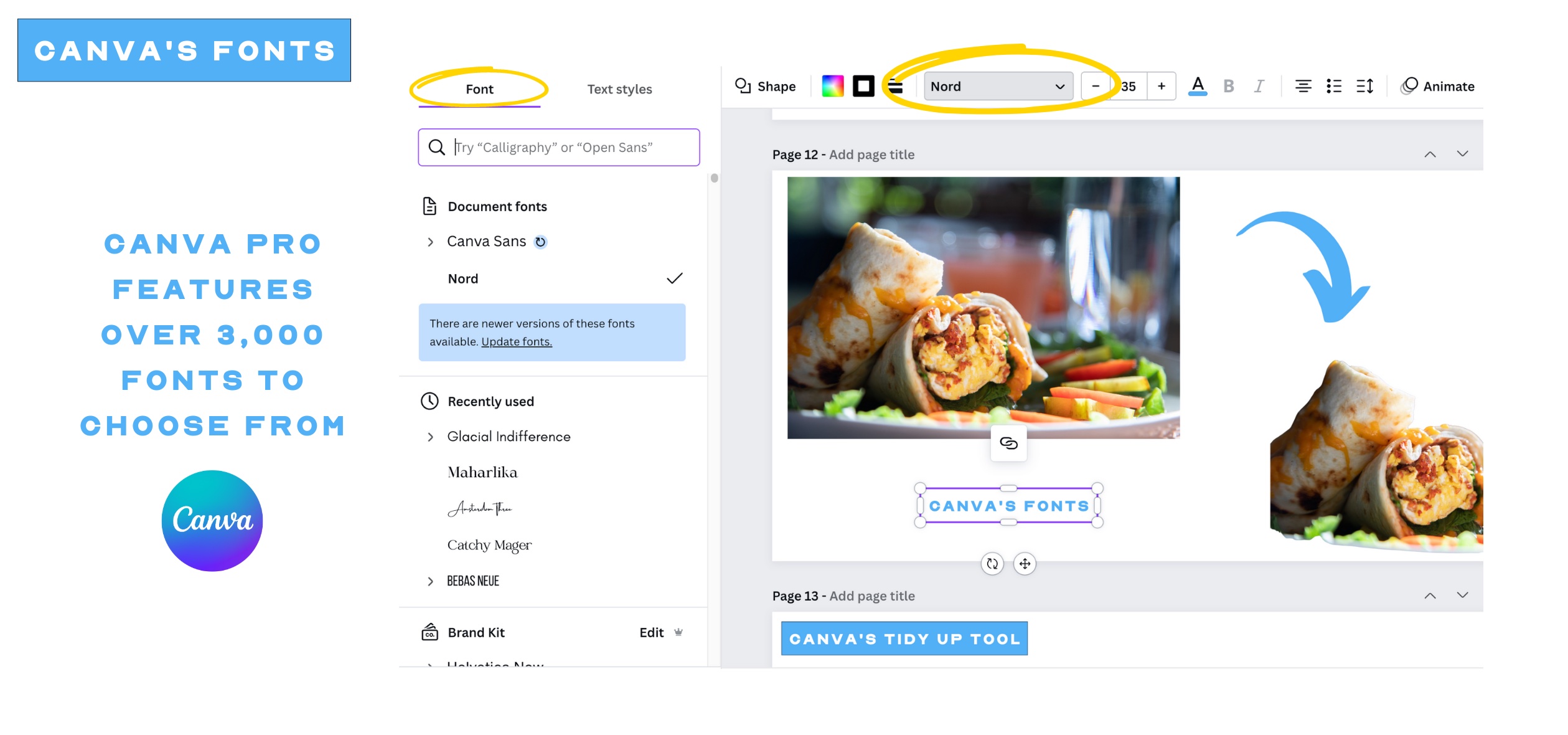 Top 5 Canva Tips and Tricks for Social Media