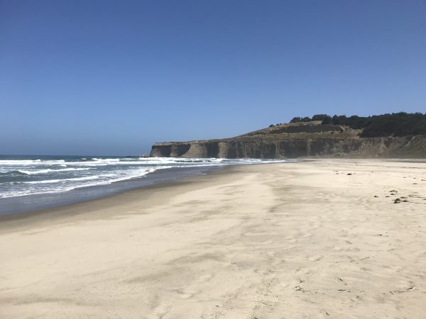 Issue: Resolution on Sea Level Rise and Shoreline Preservation | ActCoastal