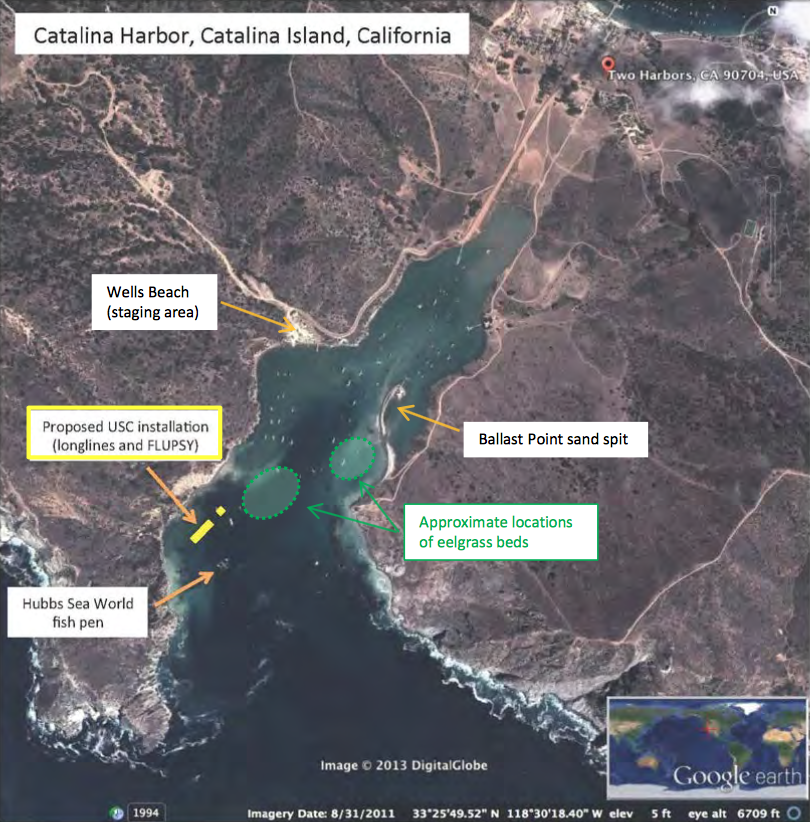 Issue: USC’s Catalina Aquaculture Project | ActCoastal