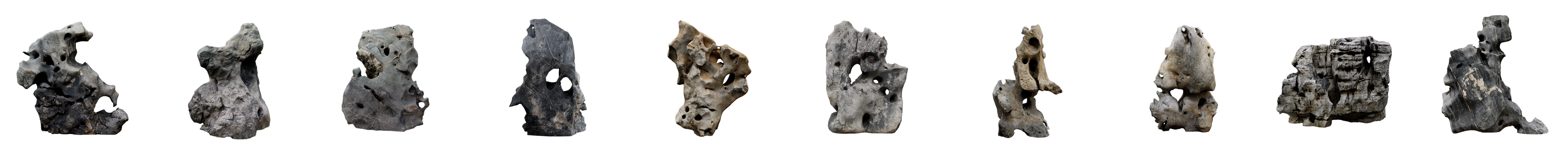 Create a lush and realistic bamboo forest in D5 Render